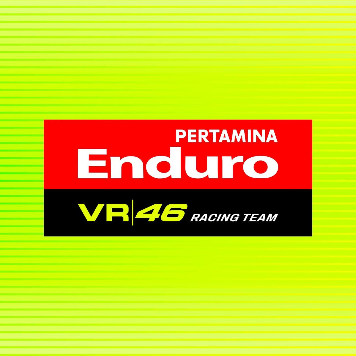 Pertamina Enduro VR46 Racing Team 2025 - MotoGP